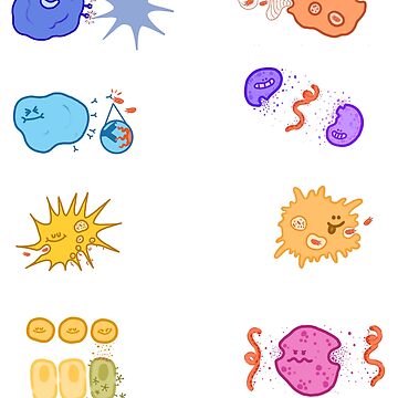 "Immune system cells cute minimal immunology " Sticker for Sale by Opid ...
