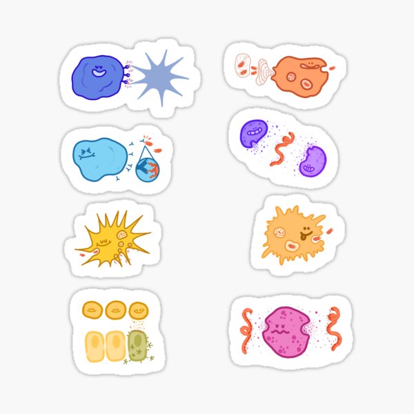 "Immune system cells cute minimal immunology " Sticker for Sale by Opid ...