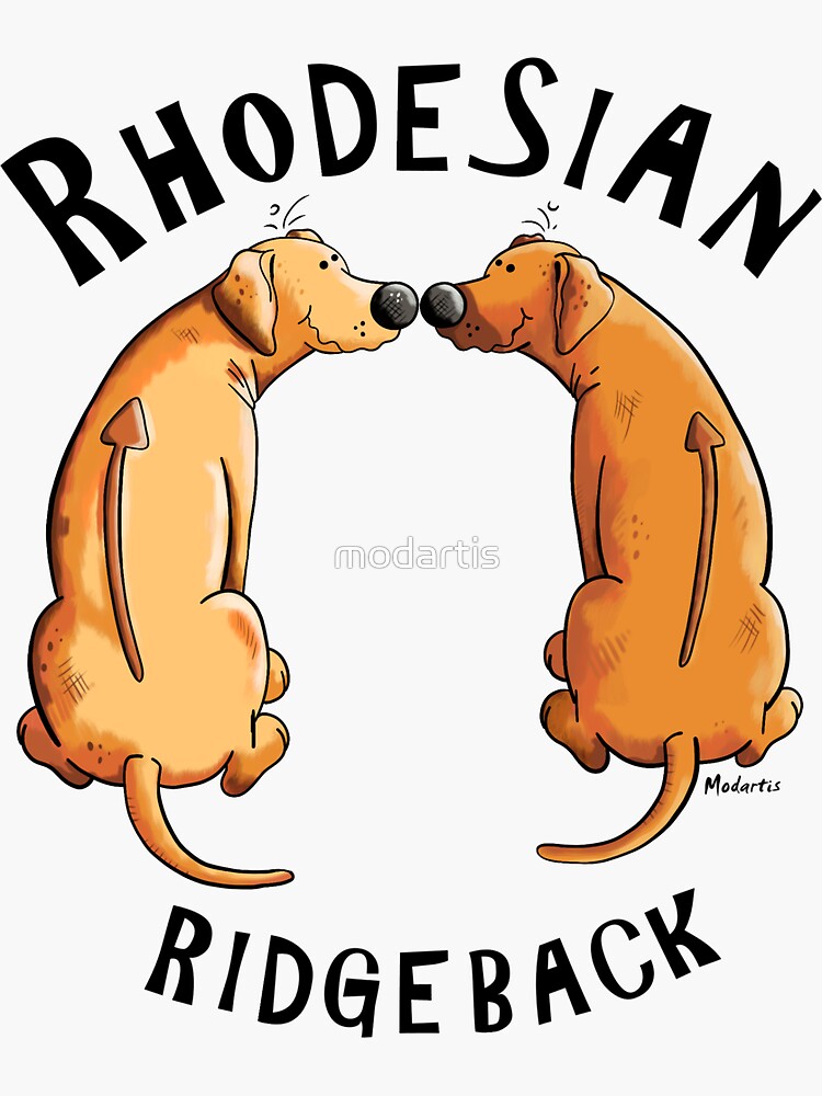 "Two funny Rhodesian Ridgeback Dogs" Sticker by modartis | Redbubble