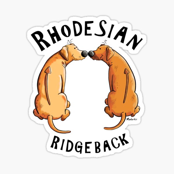 "Two funny Rhodesian Ridgeback Dogs" Sticker by modartis | Redbubble
