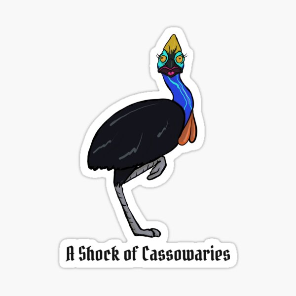 "A Shock of Cassowaries" Sticker for Sale by fourdirtypaws | Redbubble