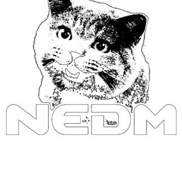 "NEDM CAT MEME" Journal for Sale by stickertraders | Redbubble