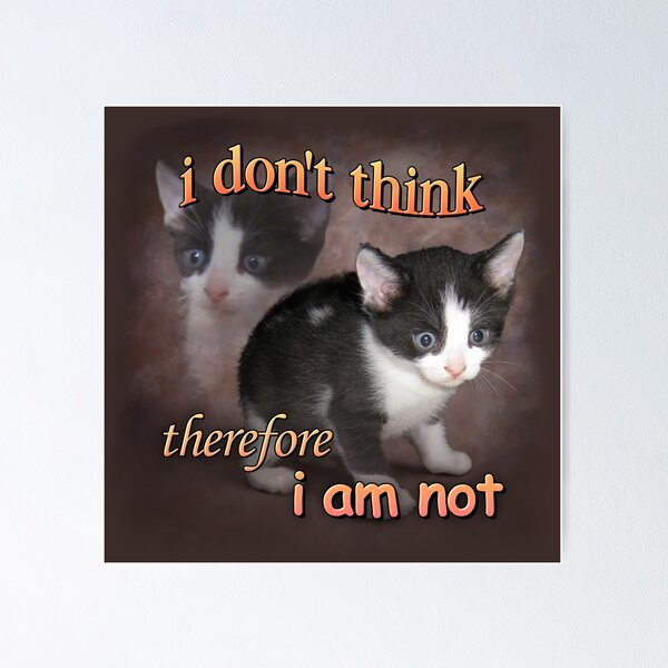 "I don't think therefore I am not - cat meme portrait" Poster for Sale ...