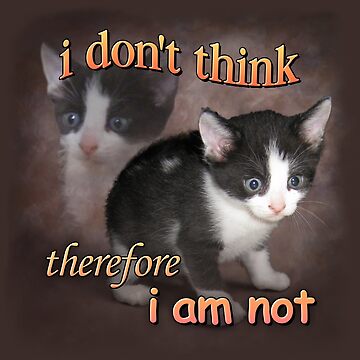 "I don't think therefore I am not - cat meme portrait" Sticker for Sale ...