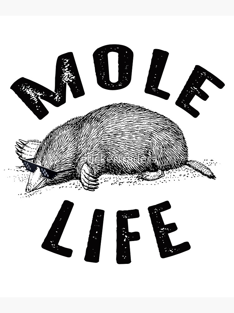 "Mole Life Meme" Photographic Print by stickertraders | Redbubble