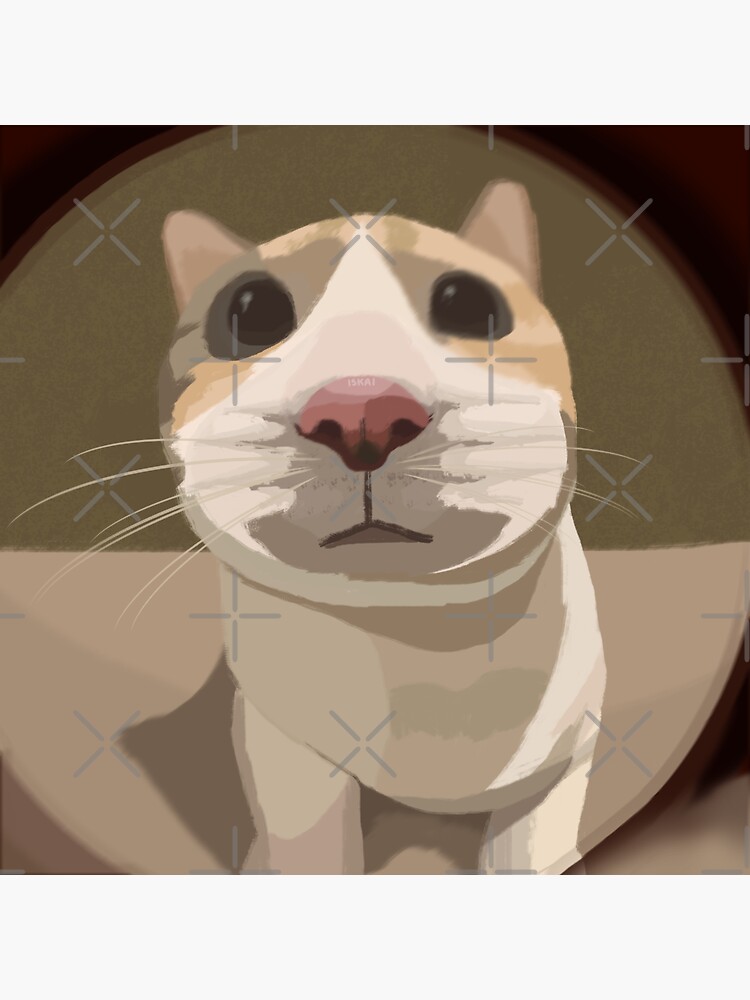 "Panko the Cat" Sticker for Sale by iskai511 | Redbubble