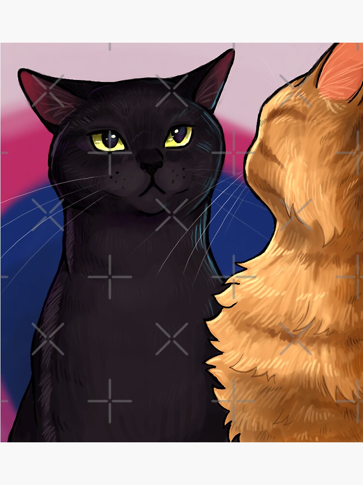 "Black Cat Zoning Out Meme" Sticker for Sale by ritavigovszky | Redbubble