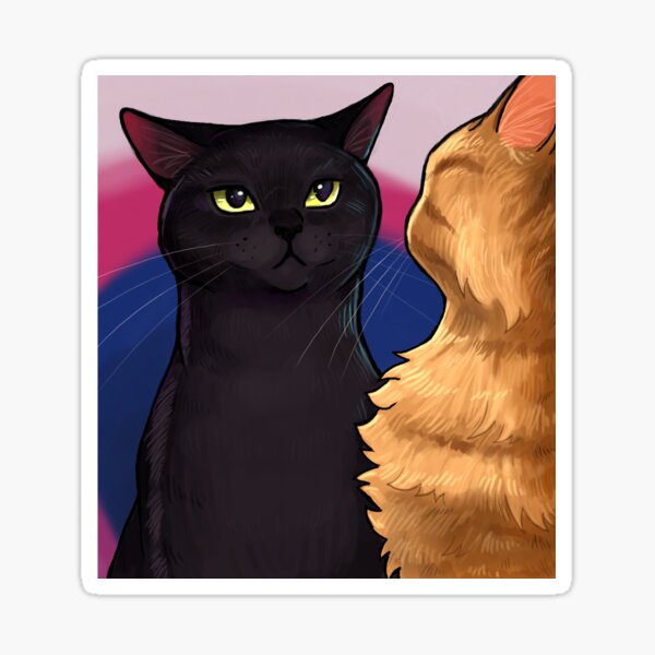 "Black Cat Zoning Out Meme" Sticker for Sale by ritavigovszky | Redbubble