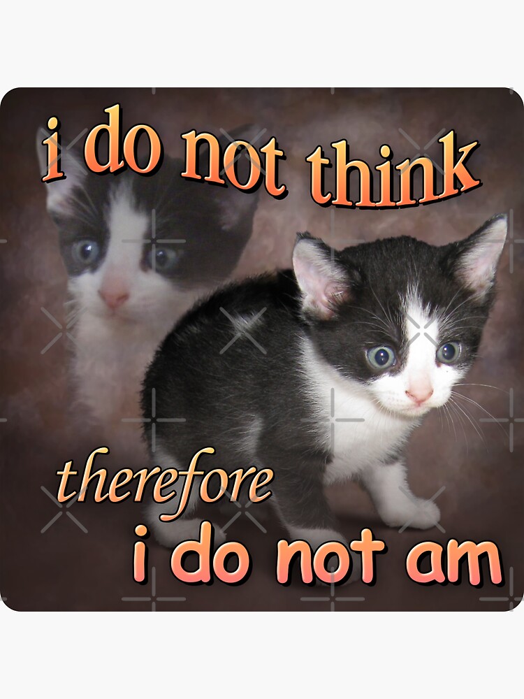 "I do not think therefore I do not am - cat meme portrait" Sticker for ...