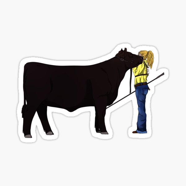 "Show Girl | Angus | Stockmen | Showing Cattle" Sticker for Sale by ...