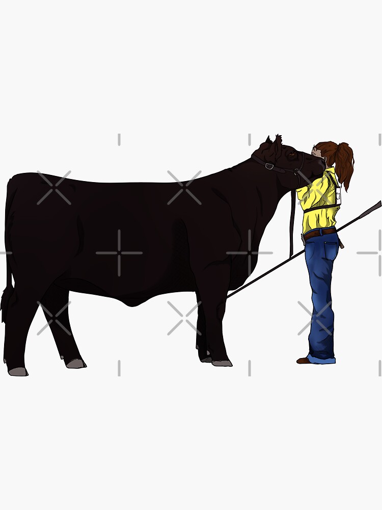 "Show Girl | Angus | Stockmen | Showing Cattle" Sticker for Sale by ...