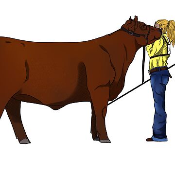 Red Simmental Show Cattle