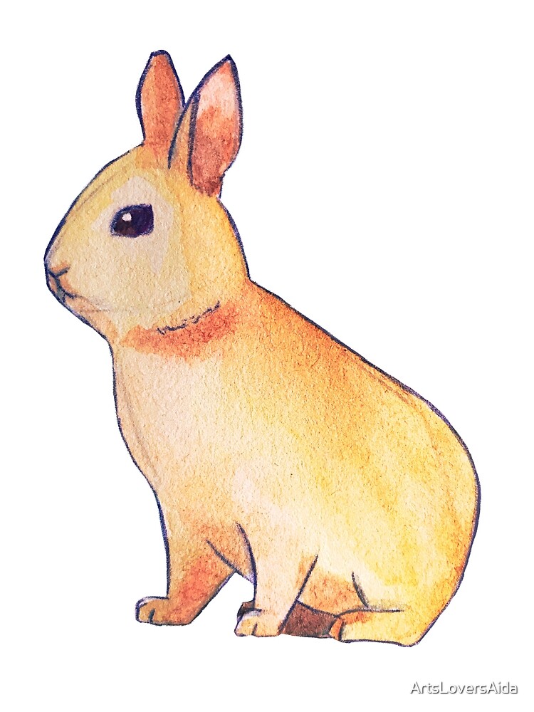"Orange bunny" Poster by ArtsLoversAida | Redbubble