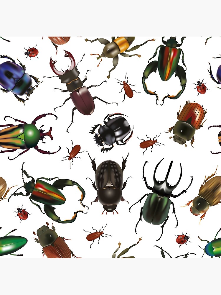 "Many Bug Design Items-Critters and Beetles-High Definition Wildlife ...