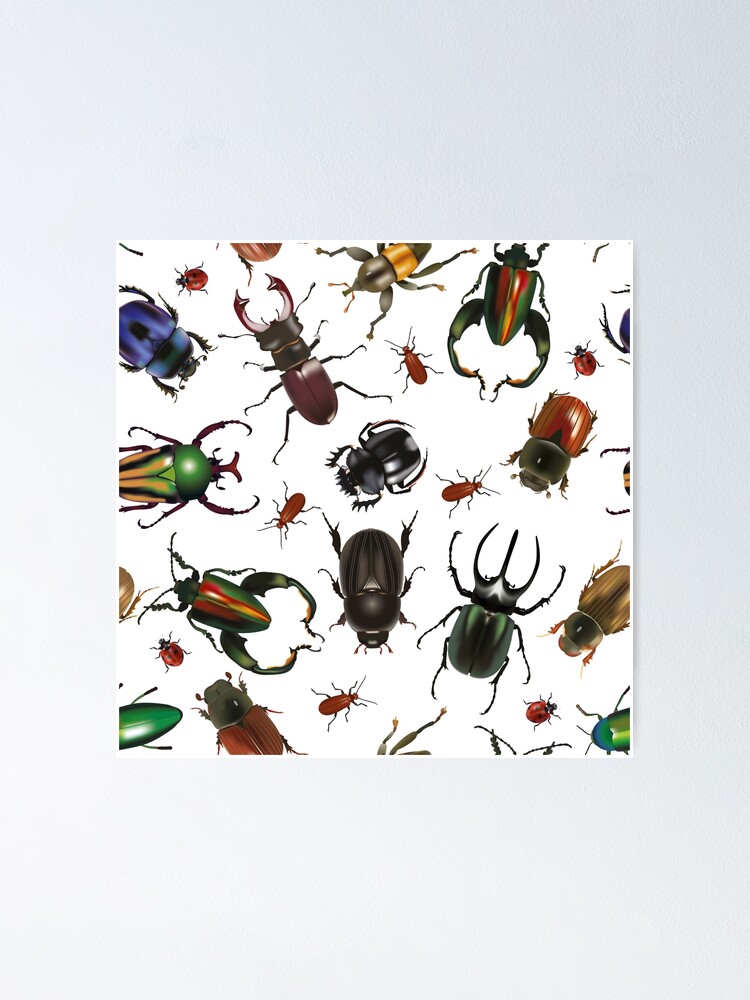 "Many Bug Design Items-Critters and Beetles-High Definition Wildlife ...