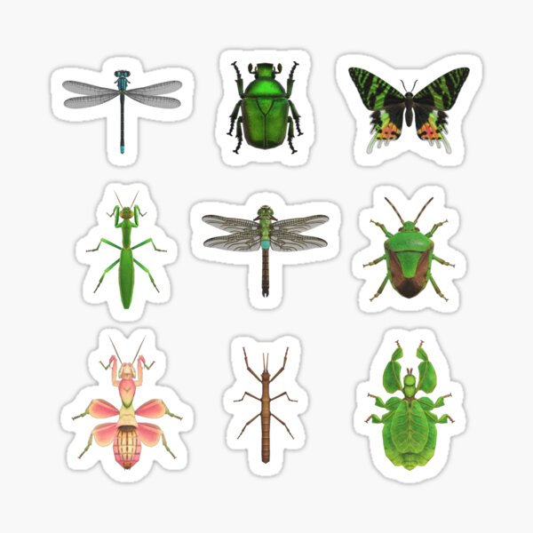 "Assorted Bug Pack " Sticker for Sale by nednalbrolyat | Redbubble