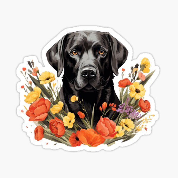 "Beautiful Black Labrador " Sticker for Sale by ZombieLH | Redbubble