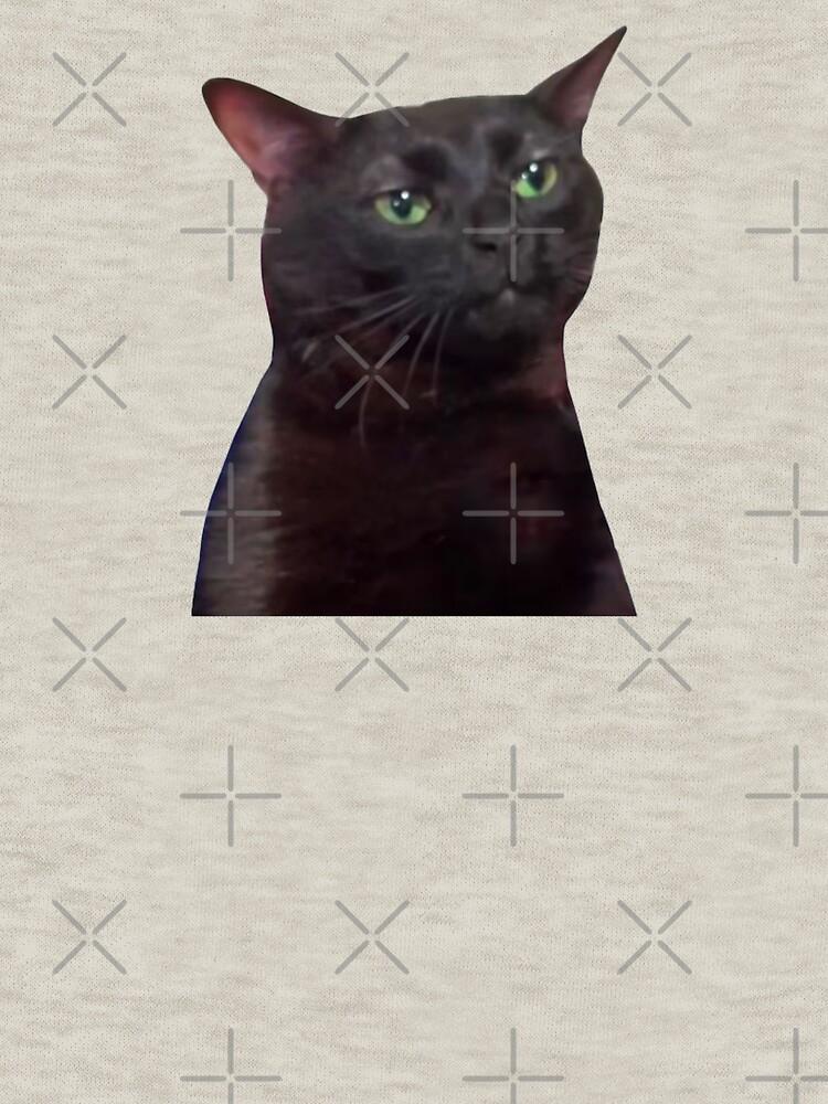 "Zoned Out Cat, Black cat zoned out, Zoned Out Cat meme" Zipped Hoodie ...