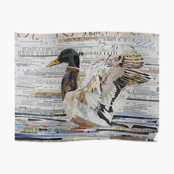 "Mallard Duck Collage Art CE White Art" Poster for Sale by cewhiteart ...