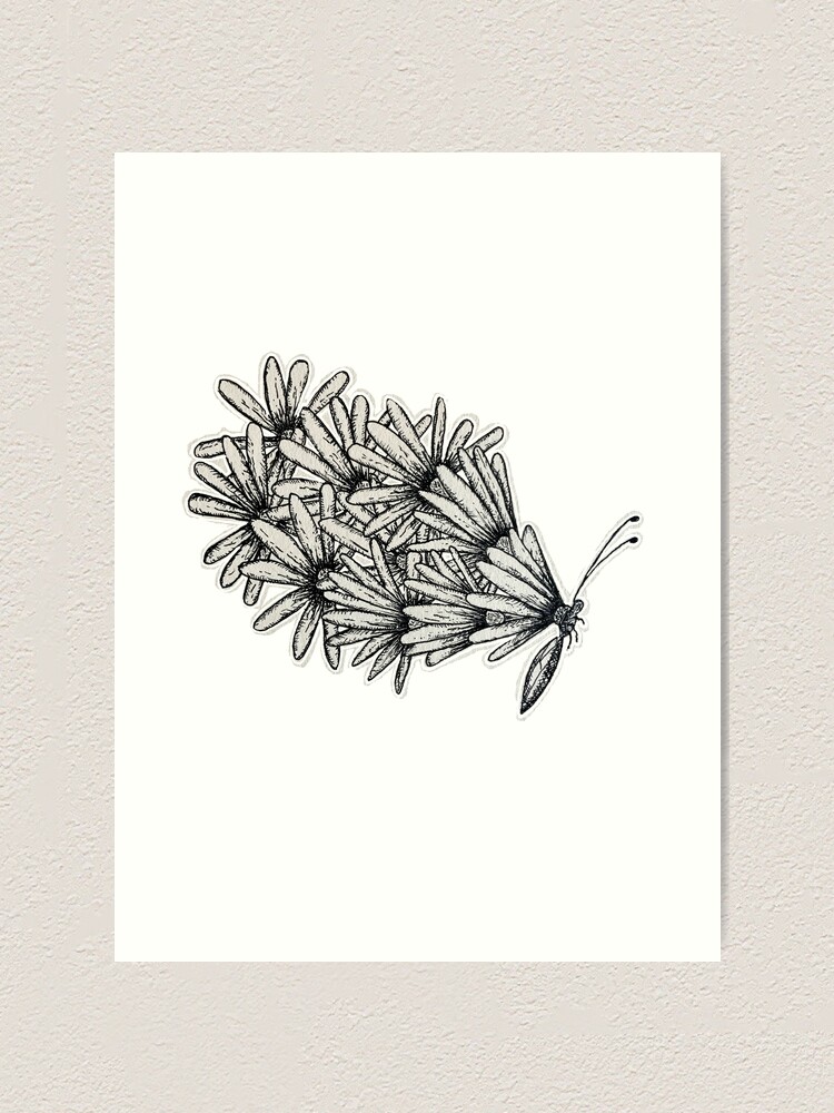 "Daisy Butterfly Ink Drawing" Art Print for Sale by Jaraart | Redbubble