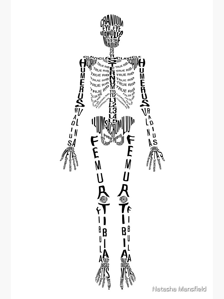 "Typographical Skeleton" Art Board Print for Sale by Natasha Mansfield ...