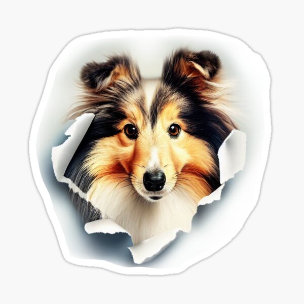 "Adoration in Art, I Love My Sheltie" Sticker for Sale by Gareth Parkes ...