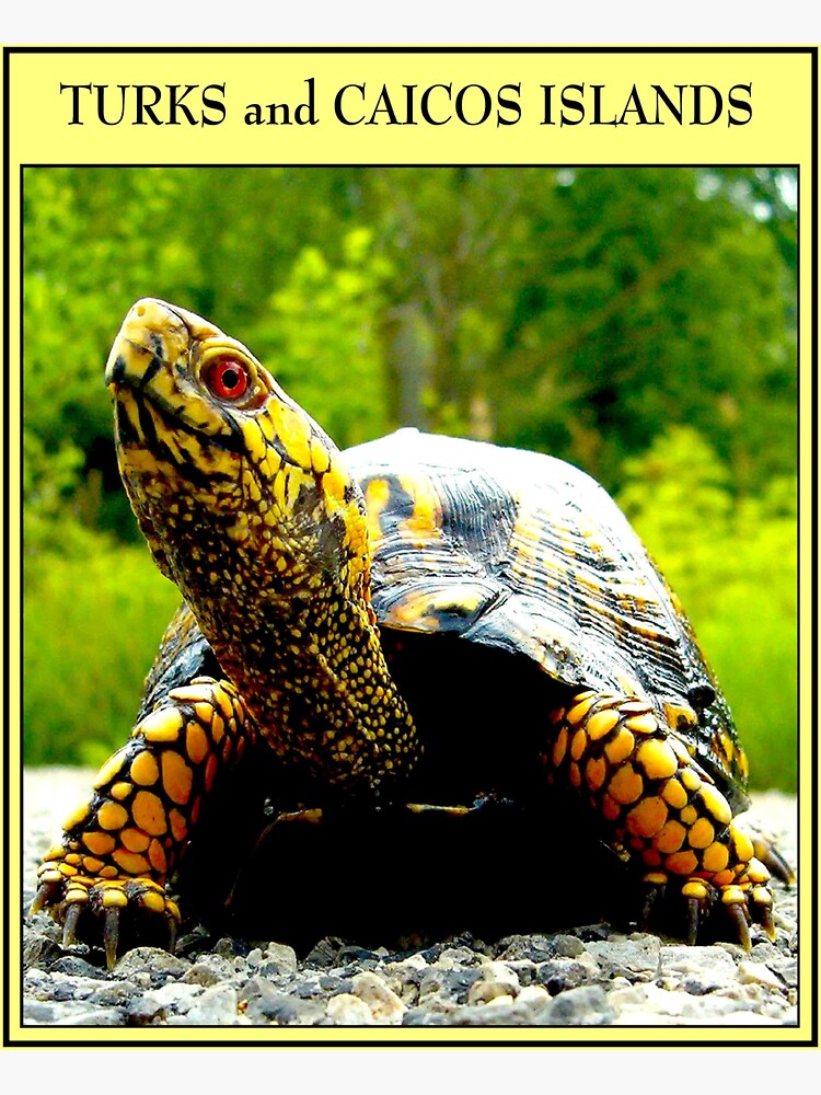 "TURKS and CAICOS : Travel and Tourism Advertising Print" Sticker for ...