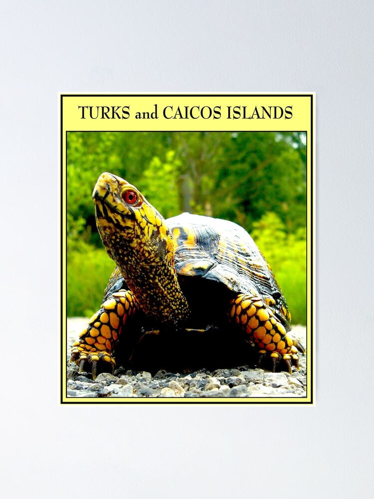 "TURKS and CAICOS : Travel and Tourism Advertising Print" Poster for ...