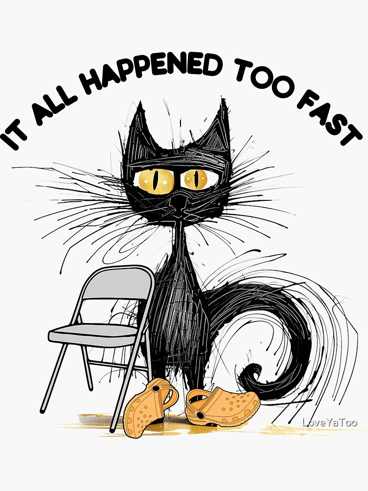 "Montgomery Brawl Alabama Tea Party chair fight funny meme cat crocs ...