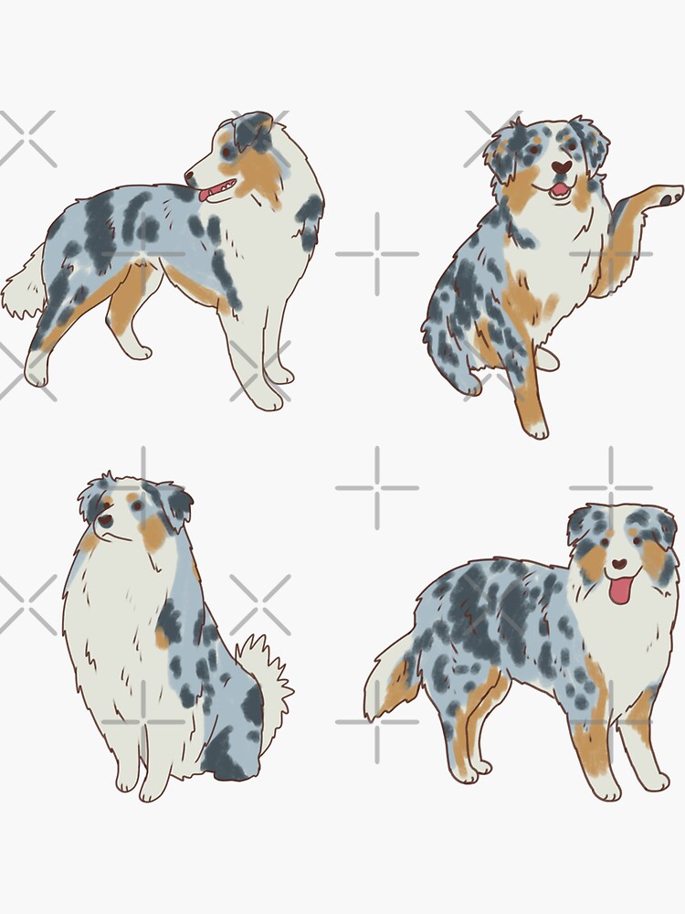 "australian shepherd drawing " Sticker for Sale by Mayarart | Redbubble
