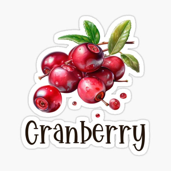 "Watercolor Illustration of Cranberry " Sticker for Sale by Sketch ...