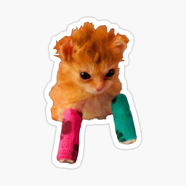 "Tater Tot Cat: A Tribute to the Resilient Viral Kitten" Sticker for ...
