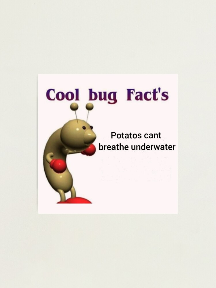 God God Bug Meme Slightly Lutheran Memes For Barely Protestant Teens