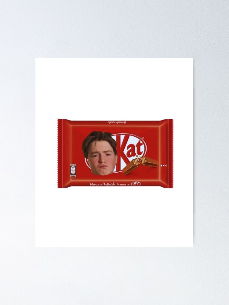 Kit Connor Funny Meme Poster