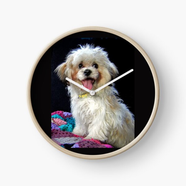 "Molly" Clock for Sale by rozmcq | Redbubble