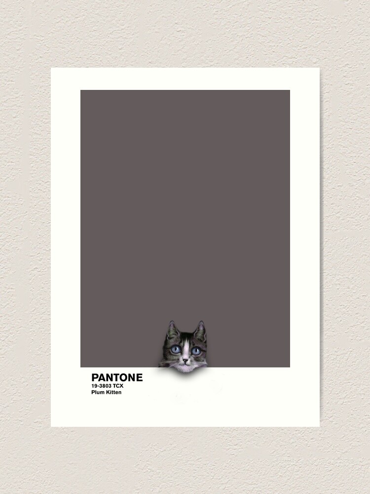 "Plum Kitten Pantone" Art Print by coverinlove | Redbubble