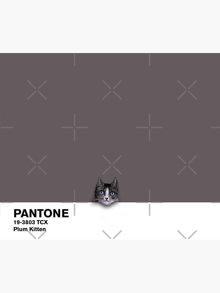 "Plum Kitten Pantone" Sticker by coverinlove | Redbubble