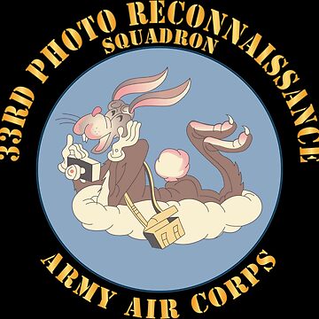 "AAC - 33rd Photo Reconnaissance Squadron - WWII X 300" Essential T ...