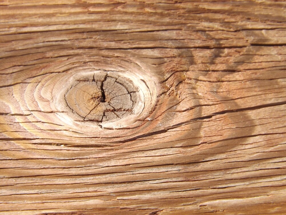 "Wood Grain Knothole" by lornakay | Redbubble