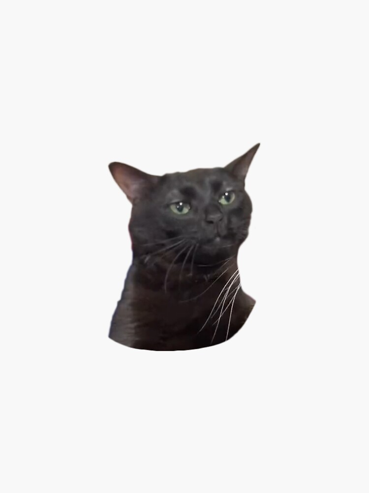 Pegatina for Sale con la obra «Etiqueta engomada del meme del gato ...