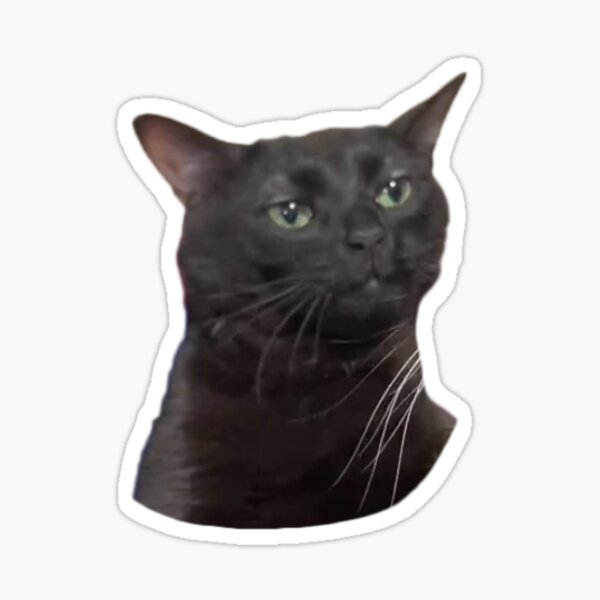 Pegatina for Sale con la obra «Etiqueta engomada del meme del gato ...