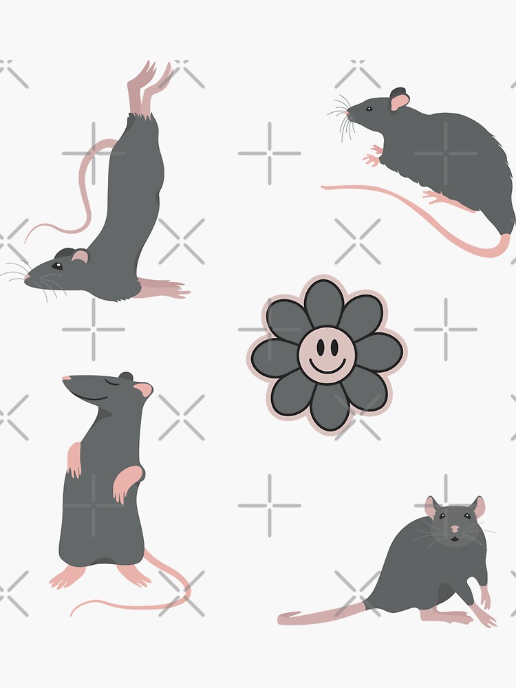 "Kawaii Rat - Cute Pack with Flower" Sticker for Sale by Martapaints ...