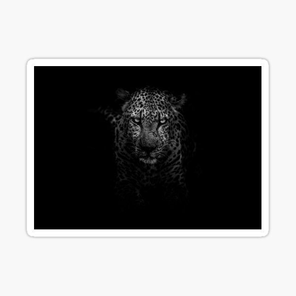 "Black Tiger" Sticker for Sale by zero-g | Redbubble