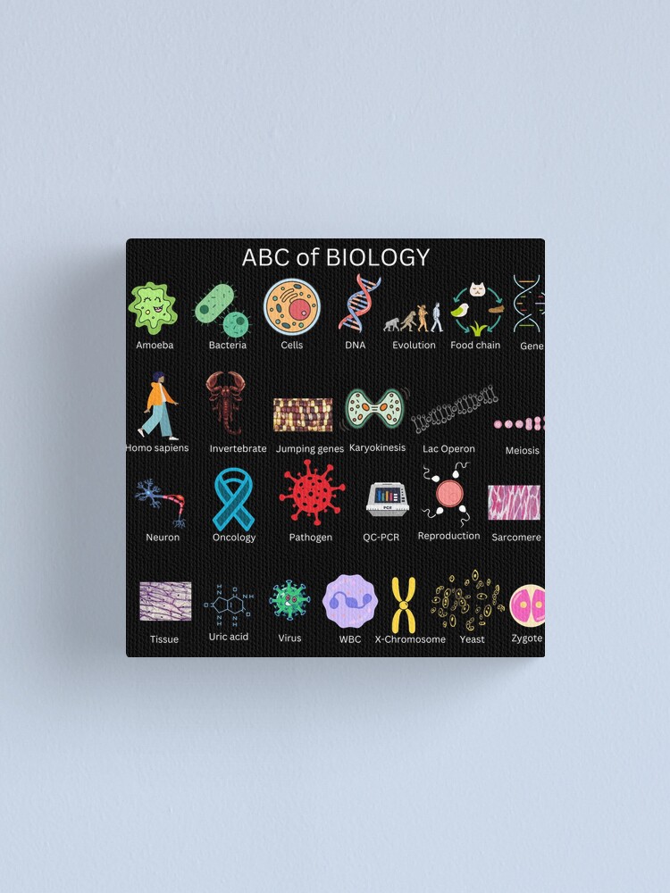 "ABC of BIOLOGY for biology for students and biologists" Canvas Print ...