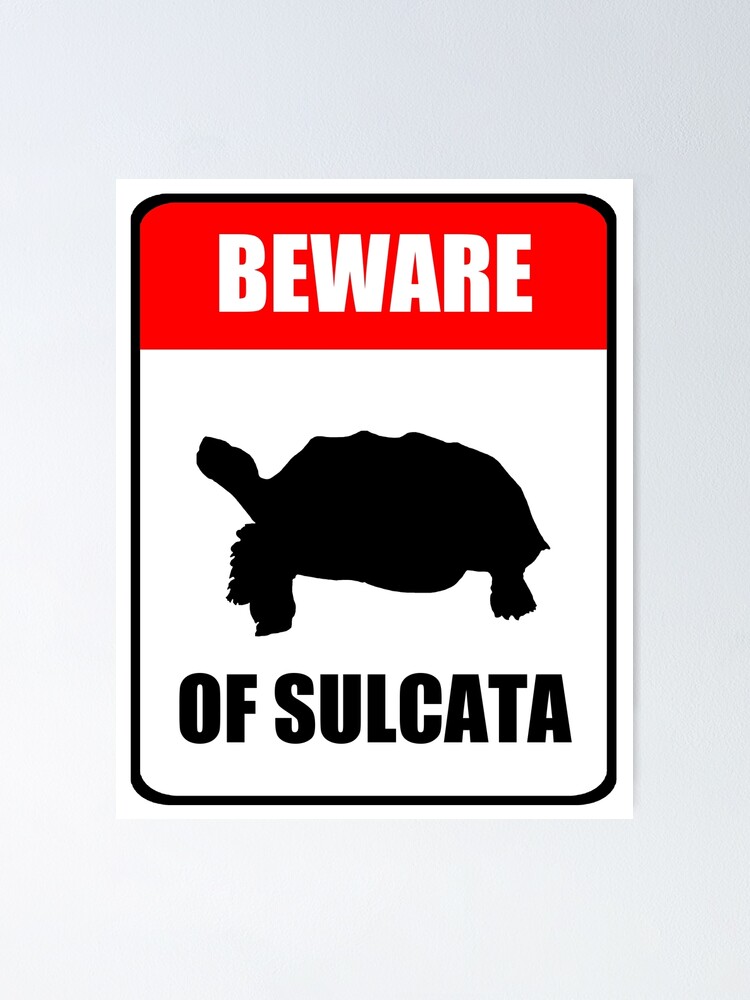 "Beware of Sulcata" Poster by misimichu | Redbubble