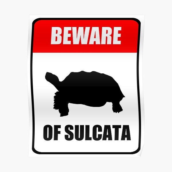 "Beware of Sulcata" Poster by misimichu | Redbubble
