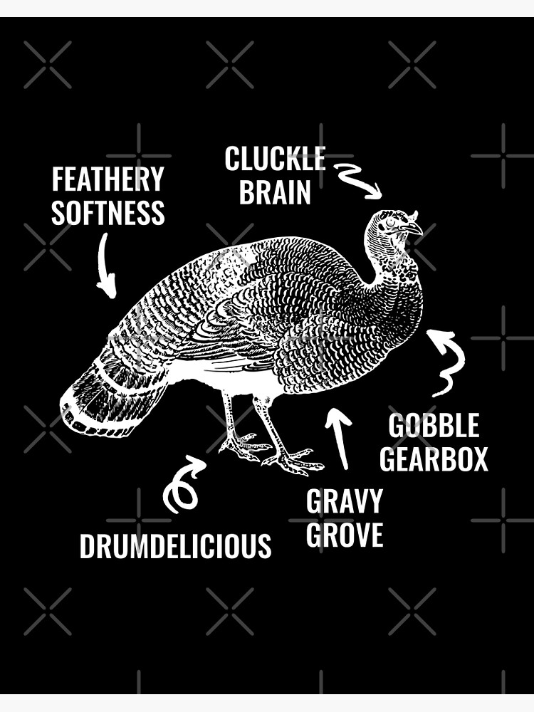 Anatomía Del Cuello Del Pavo