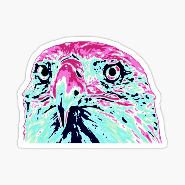 "Eagle Eye" Sticker for Sale by miniverdesigns | Redbubble