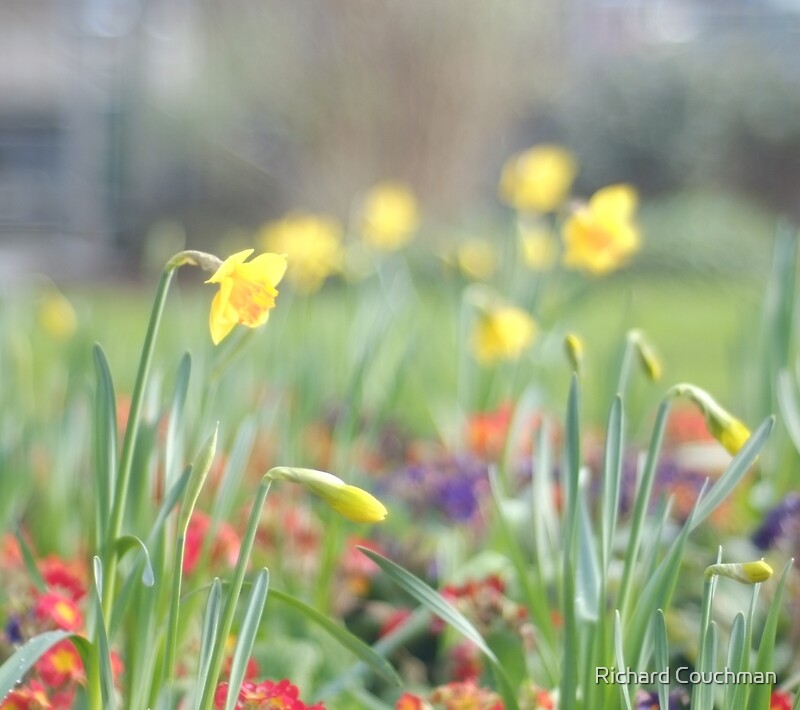 "" Under A Soft Spring Sky "" by Richard Couchman | Redbubble