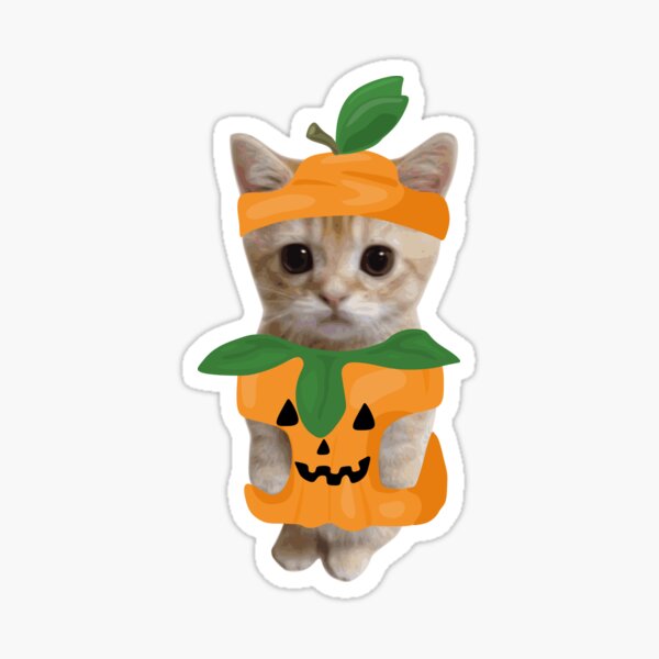 "Pumpkin Halloween el gato meme" Sticker for Sale by Dopyrrrr | Redbubble